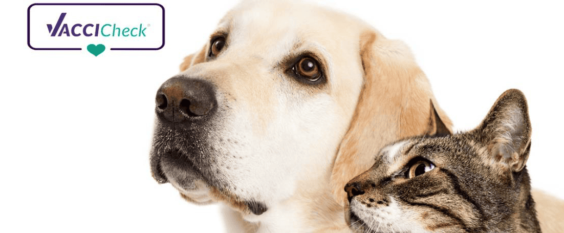 Vaccineren op maat! - Dierenkliniek Hoogveld